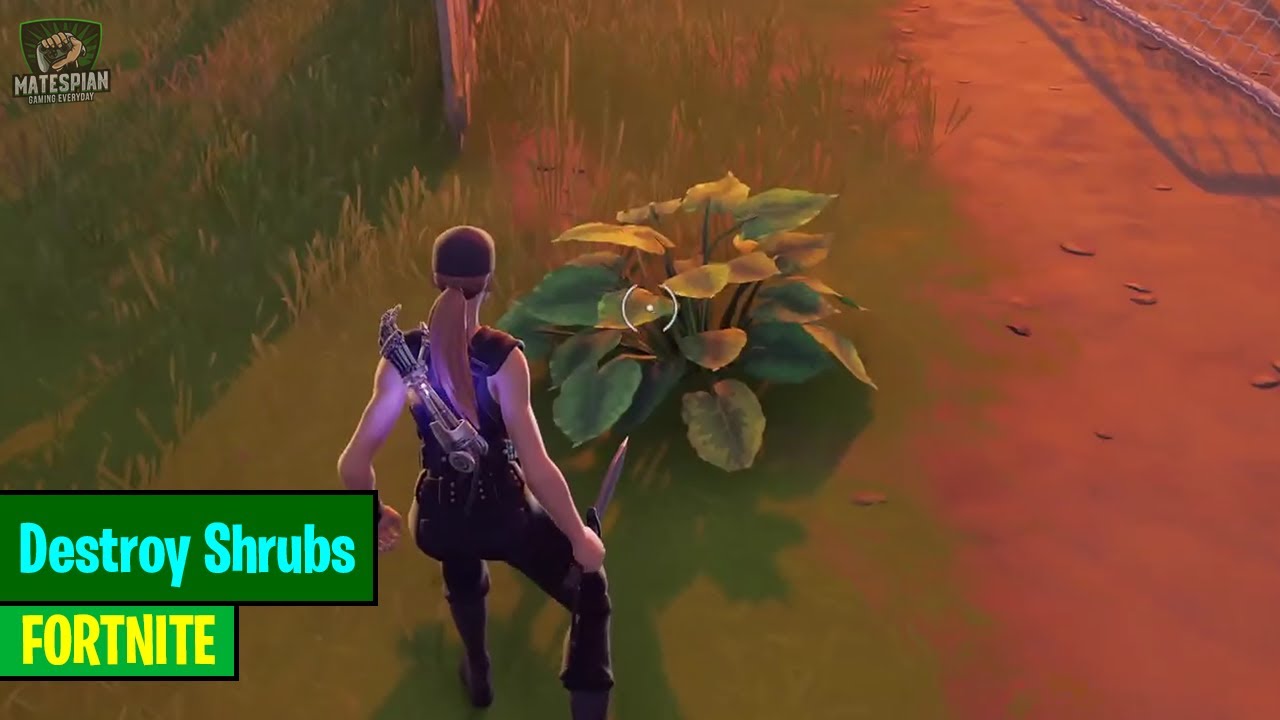 FORTNITE - Destroy Shrubs (best location) - YouTube