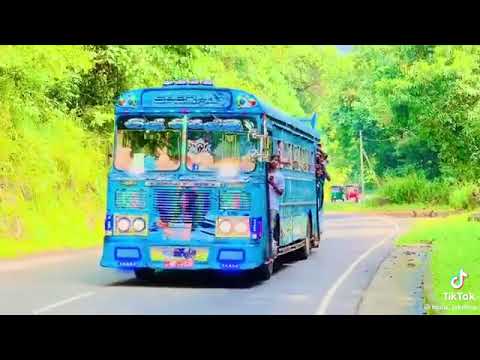 Nil kirilli Bus (2) - YouTube