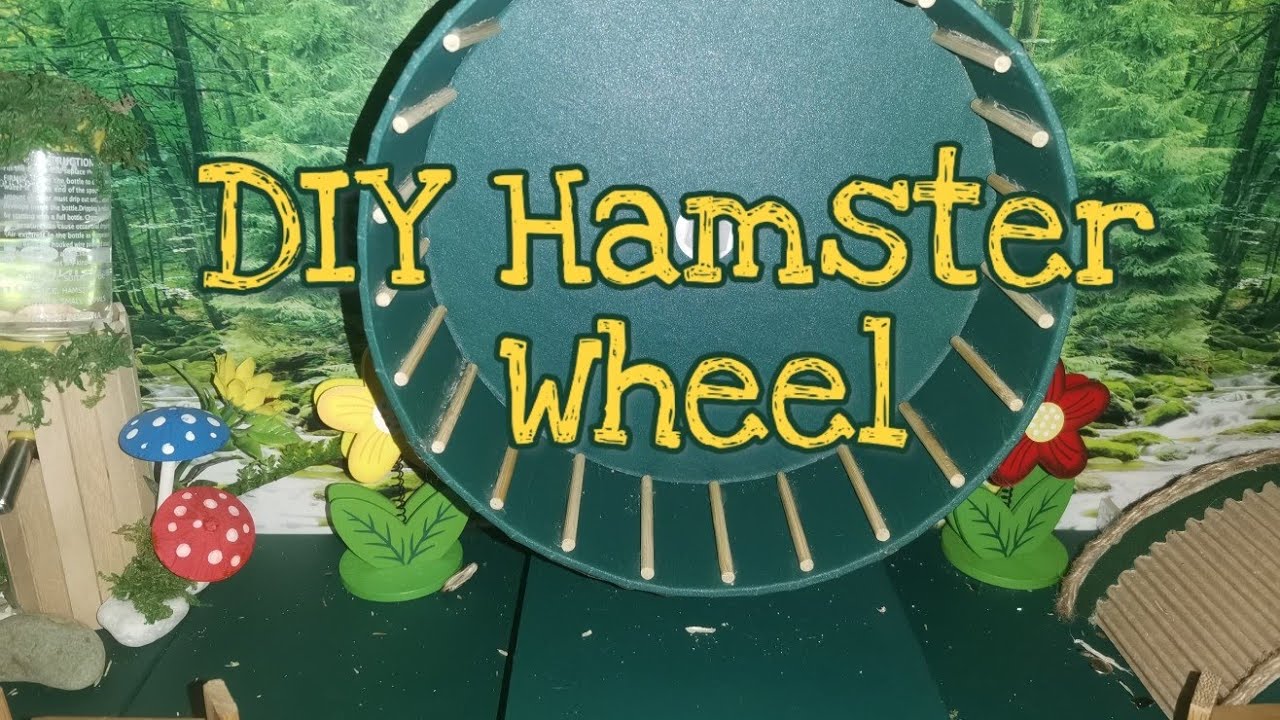 DIY Hamster Wheel | Chubby Hamhams - YouTube