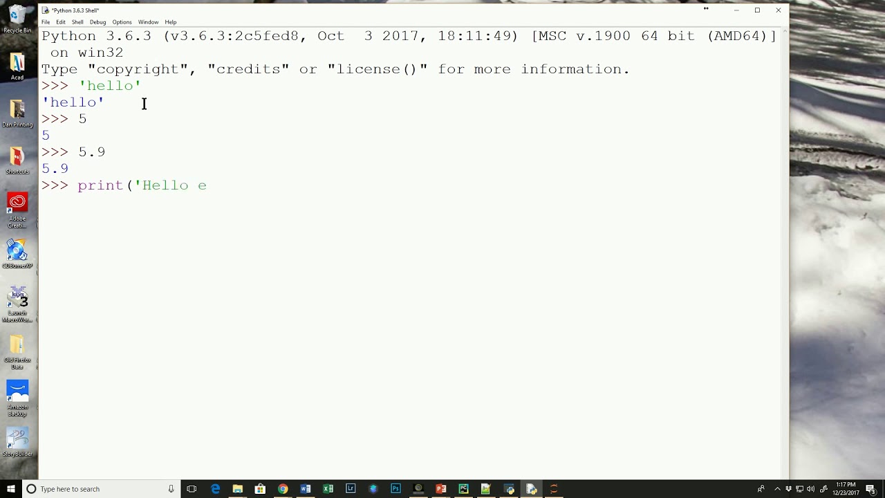 002 Python Shells Youtube