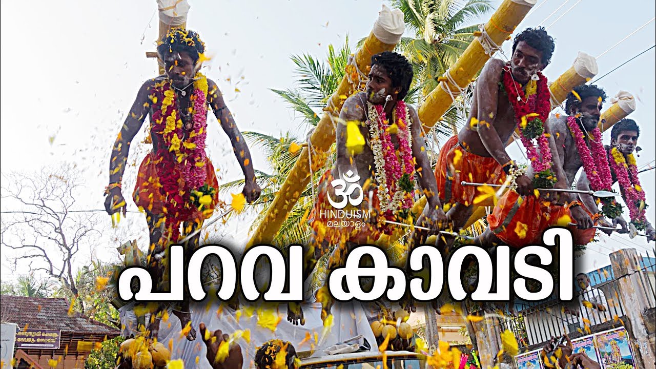 Parava Kavadi | പനത്തുറ ശ്രീ സുബ്രമണ്യ സ്വാമി ക്ഷേത്രത്തിലെ പറവ കാവടി ...