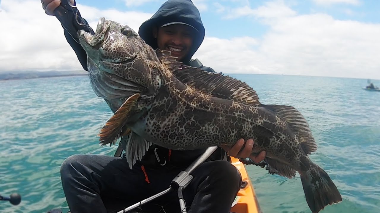 3 Years In Search of - One of the Most Ferocious Ocean Creature ...