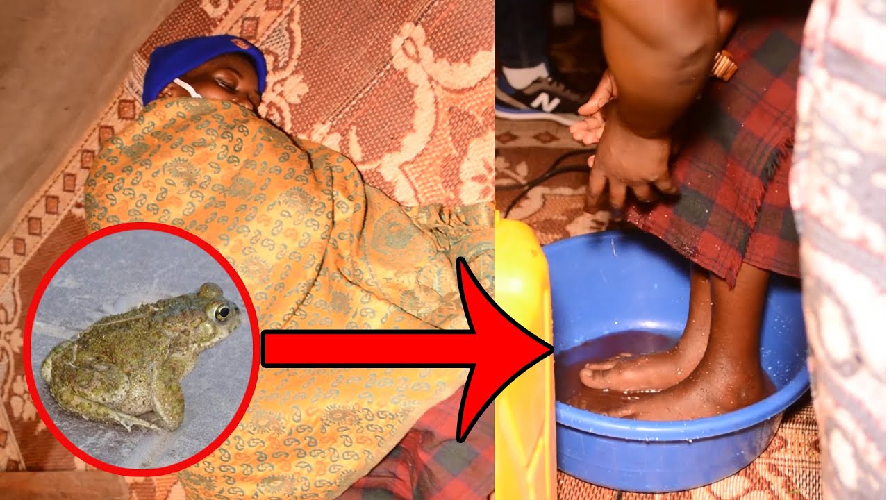 Umupfumu akuye igikeri munda yumuntu tubyibonera | yahamagaye inzoka ...
