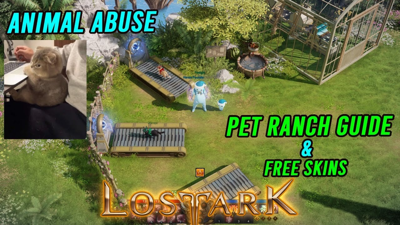 Lost Ark Pet Ranch Guide - YouTube