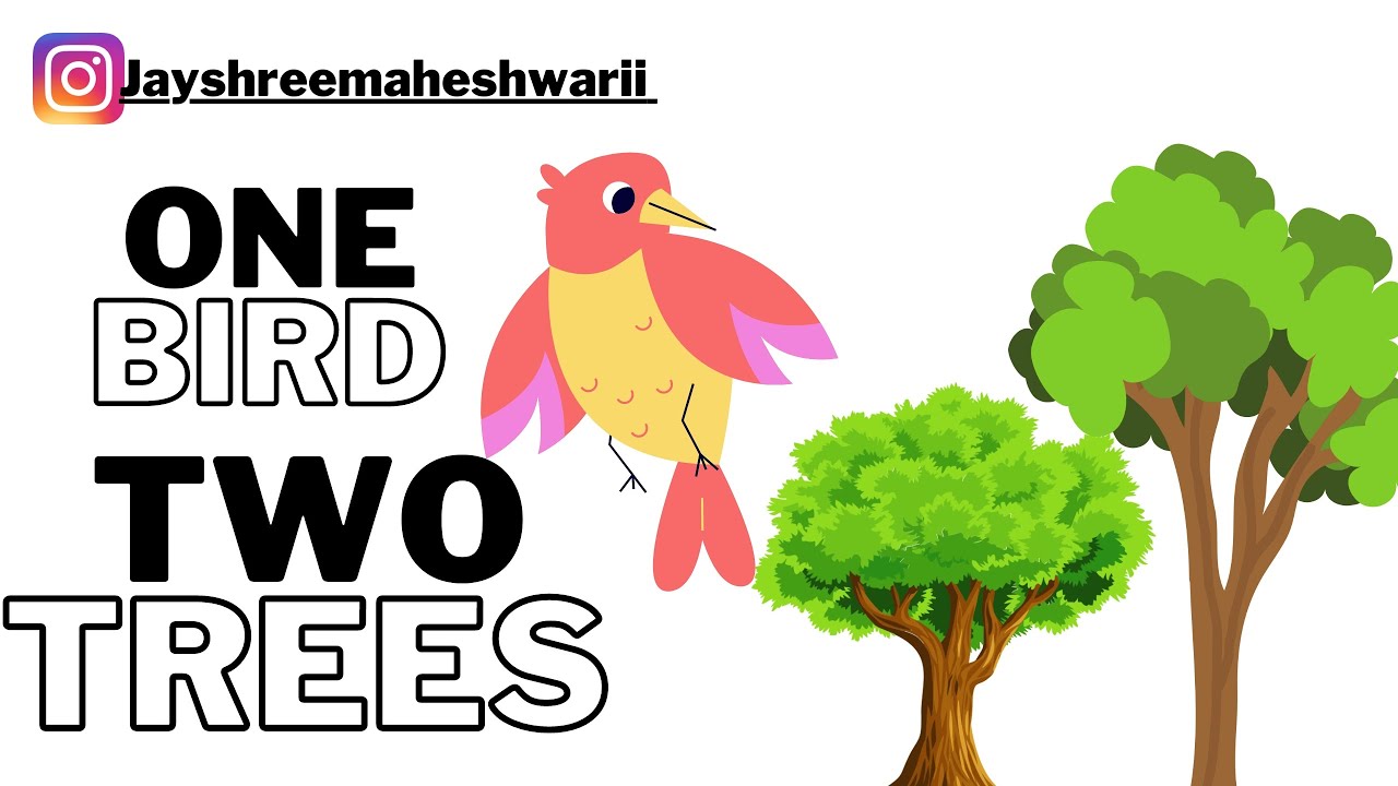 One bird Two trees Moral story || An inspiring story in English | short ...