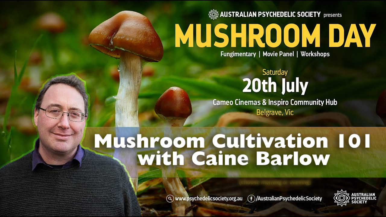Melbourne Mushroom Day 2019 - Mushroom Cultivation 101 with Caine ...