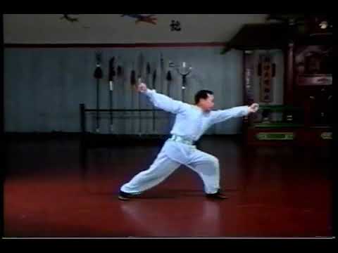 Bak Sil Lum Northern Shaolin   Tan Tuy sample #33 WLE.com