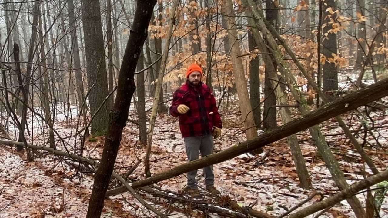 Bigfoot in NH - Video Evidence (part 1) - YouTube