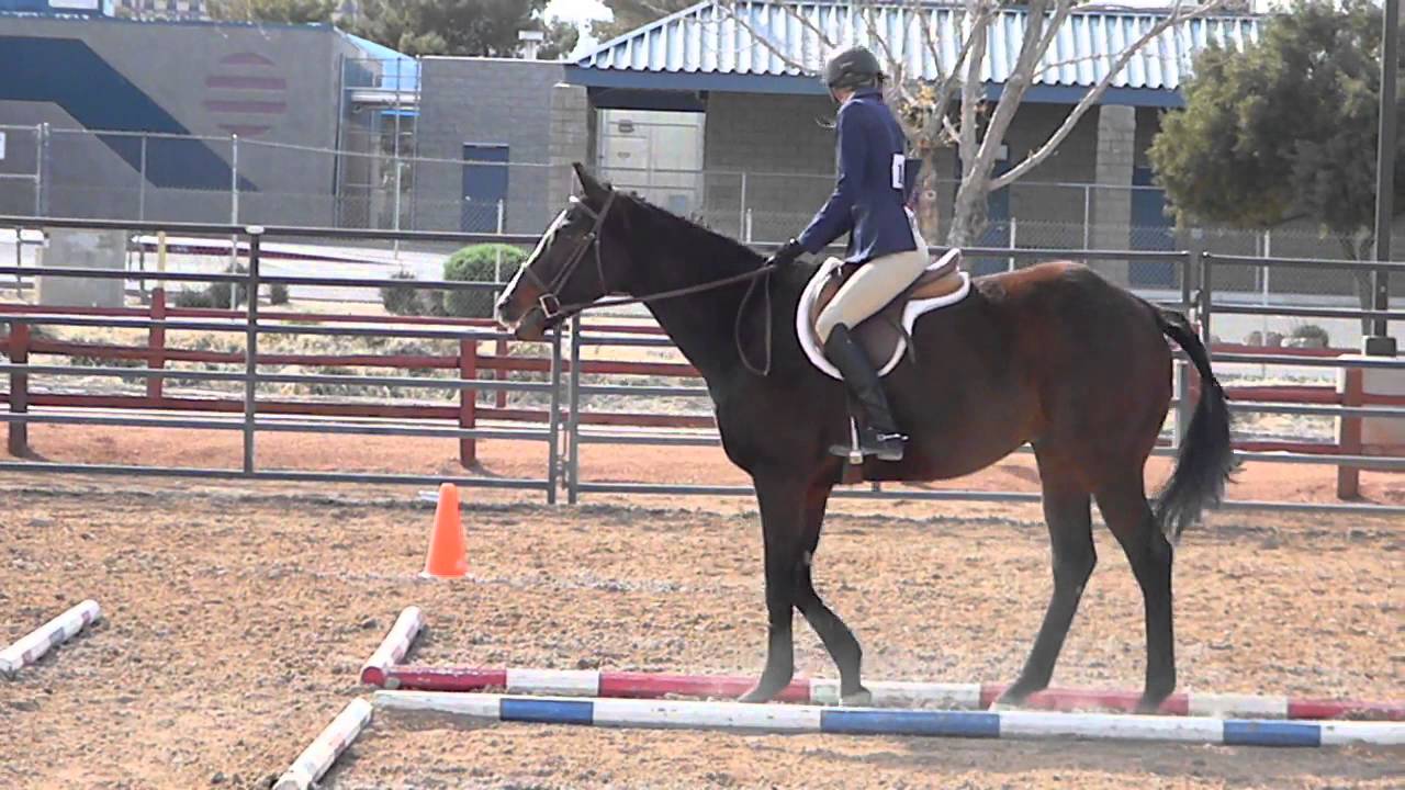 Walk/Trot Trail - Sarah and Jack - YouTube