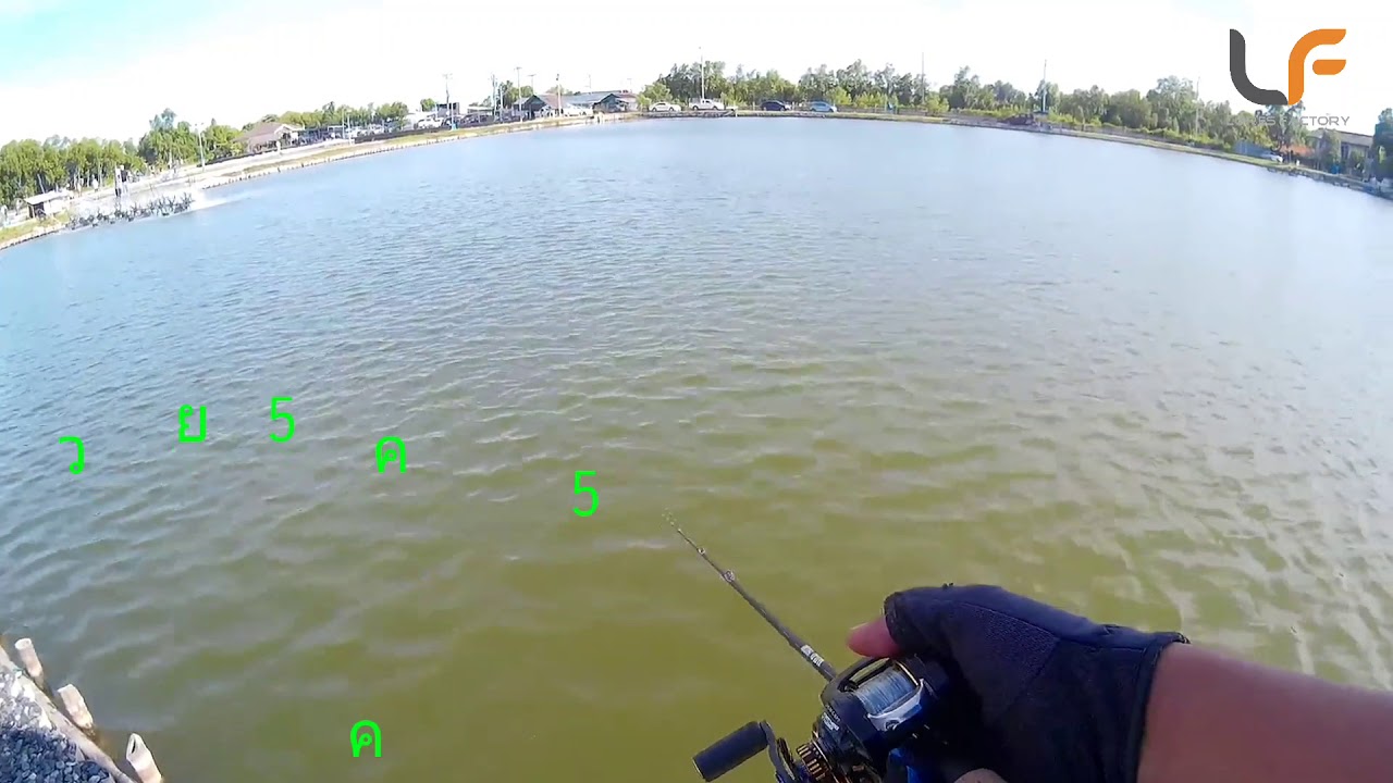 Chikubi rig +Real shad 130mm. 8g. - YouTube