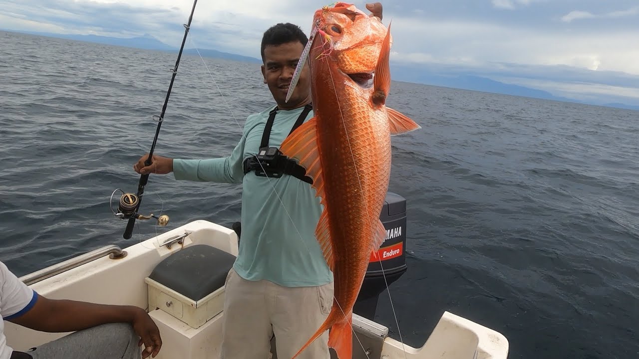 strike ikan Barakota dan Rubbysnapper #ripplefisher #daiwa # ...