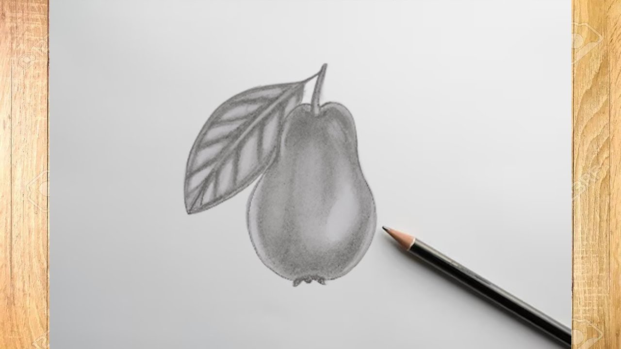 How to Draw a Guava| Easy way to Draw a Guava | Pencil sketch drawing ...