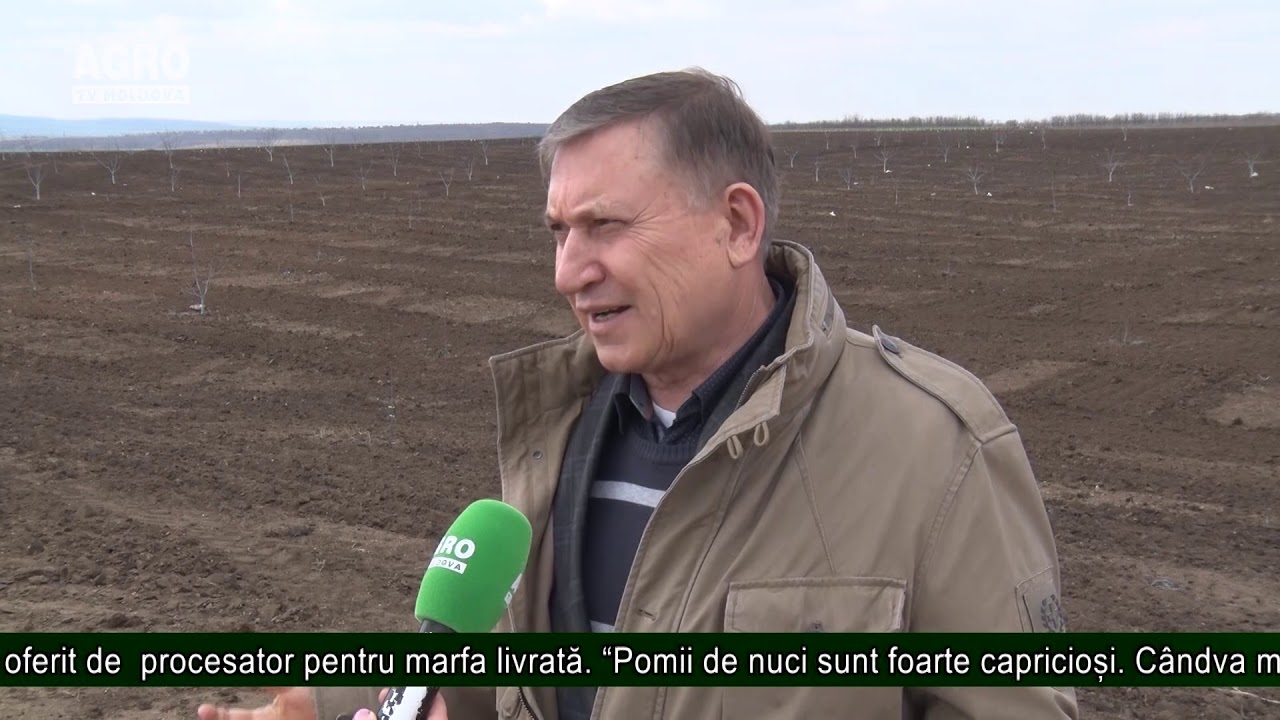 AGRO TV News – Nuci franceze cu gust de Moldova - YouTube
