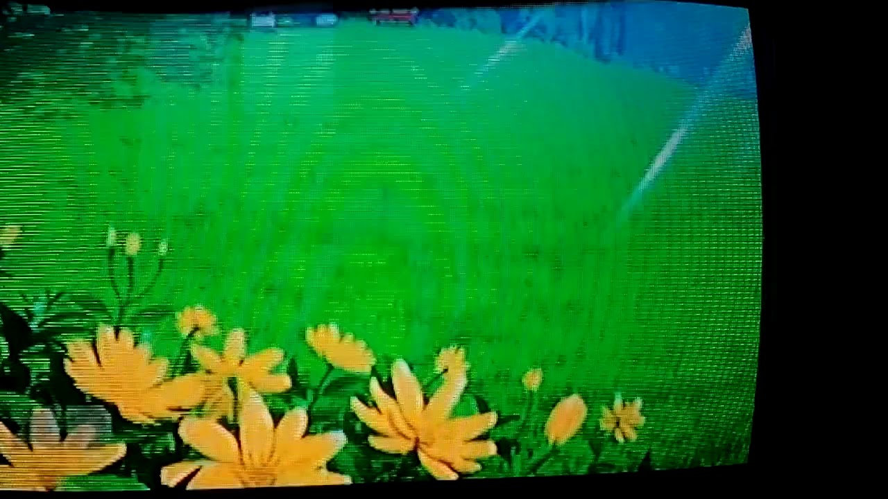 Medallas de Rayito y Cellisca - YouTube