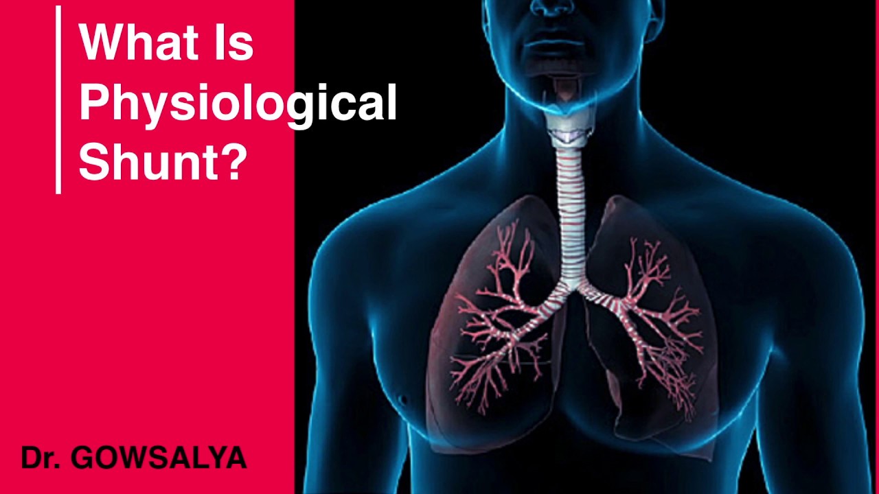 What is Physiological Shunt? Anatomy and Physiology | General Medicine ...