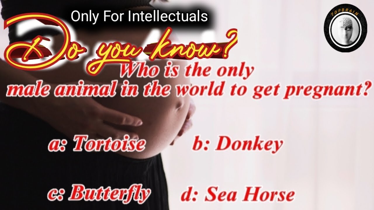 10 Questions | Top Brain | Knowledge Answers | Answers | Question ...