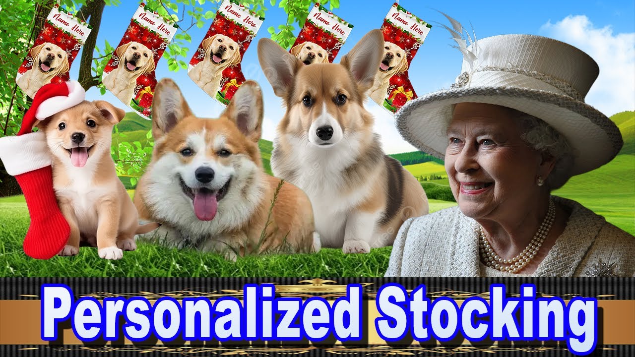 Queen Elizabeth gave 'Personalized Stocking' for Each Corgi at the ...
