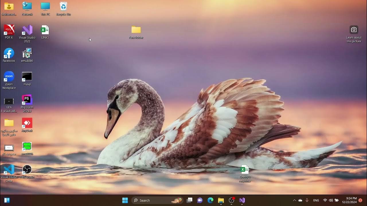 file stream - YouTube
