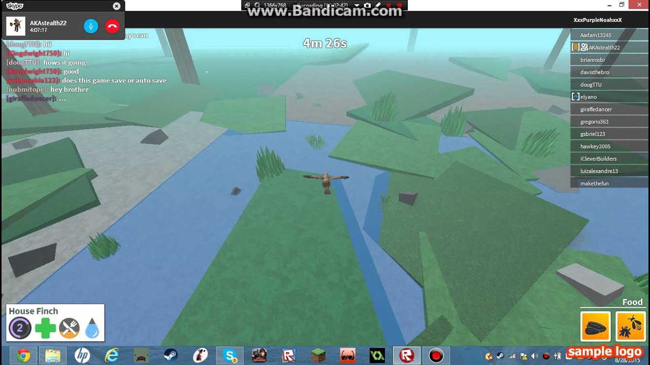 bird sim part 1 - YouTube