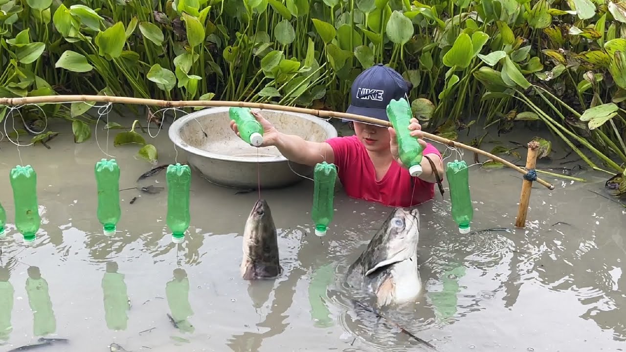 Build Primitive Technology Fish Trap With Mantis Shrimp! - YouTube