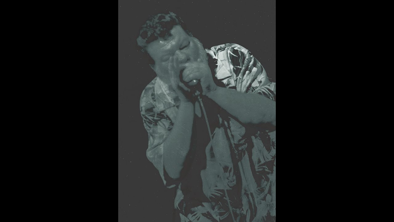 James Harman @ Waterfront Blues Festival, USA (1996) - YouTube