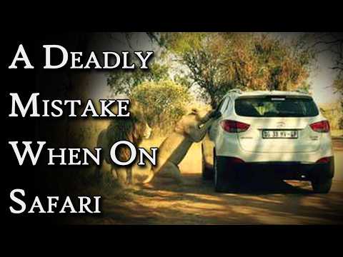 A Deadly Mistake When On Safari | Fascinating Horror