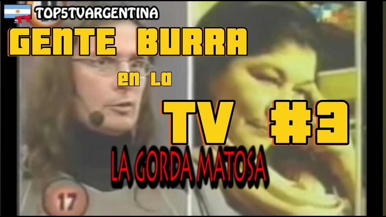 Gente burra en la tv #3 /// ️ - YouTube