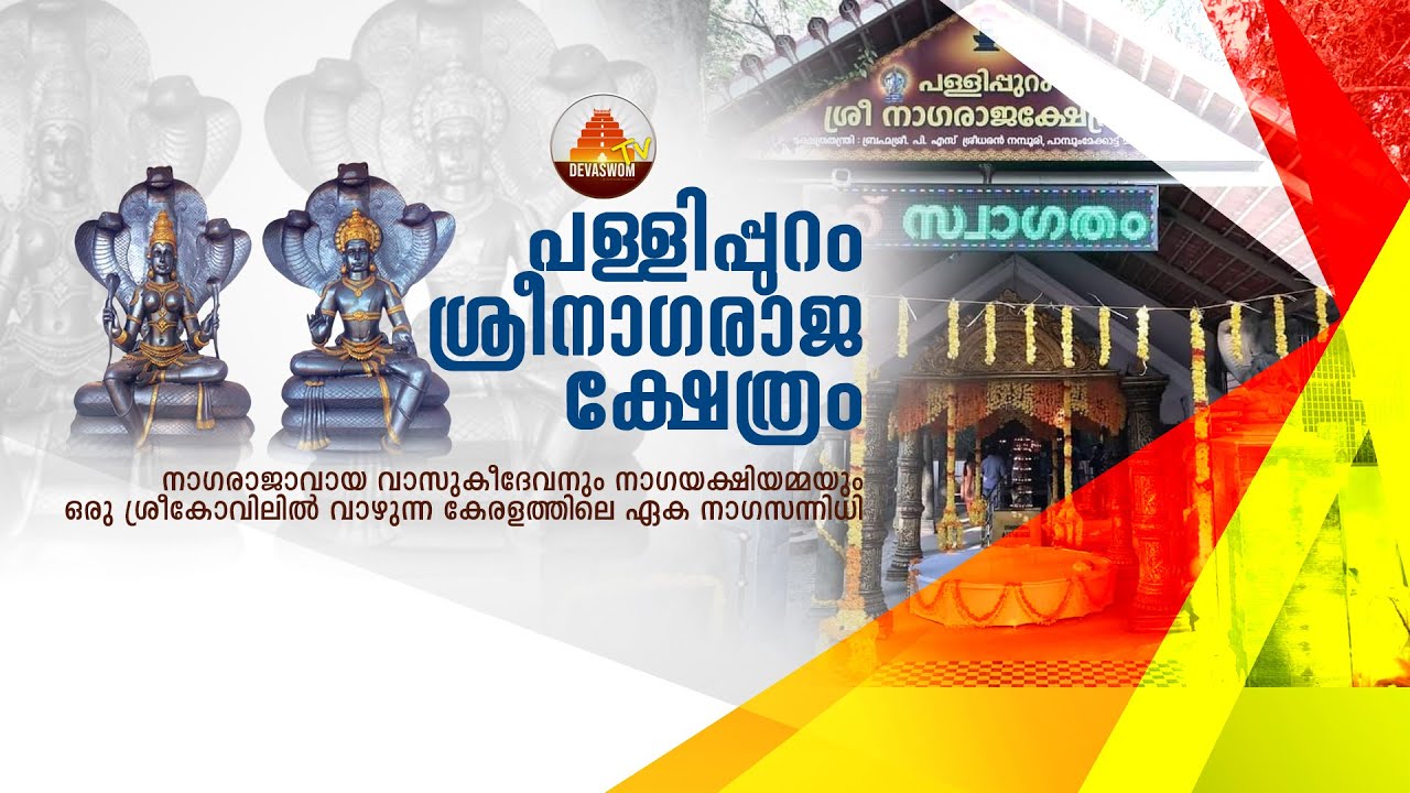 Pallipuram Sri Nagaraja Nagayakshi Amma Temple - YouTube