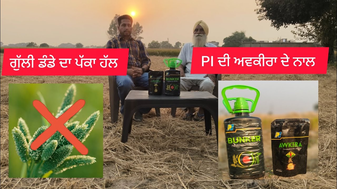 ਗੁੱਲੀ ਡੰਡੇ ਦਾ ਪੱਕਾ ਹੱਲ ਕਰਨ ਲਈ pi ਦੀ awkira ਤੇ Bunker ਦੀ ।#pi #awkira # ...