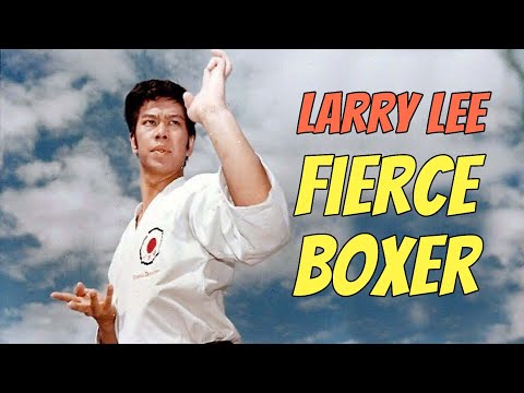 Wu Tang Collection - Fierce Boxer