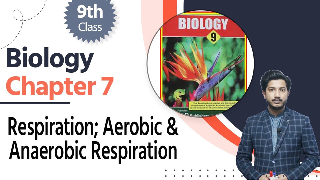 Biology Class 9 Chapter 7 - Class 9 Biology Ch 7 - Respiration: Aerobic ...