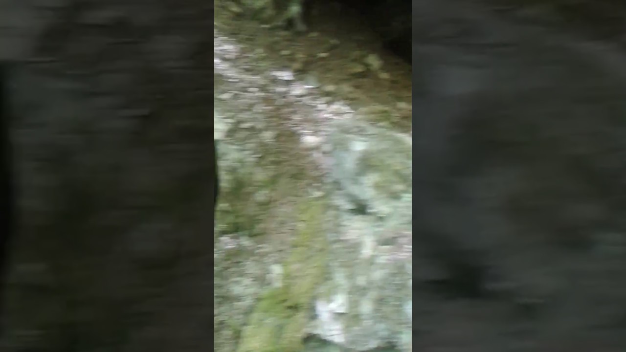 ραβδοσκοπια ΣΕ ΑΦΤΗΝ ΤΗΝ ΠΕΡΙΟΧΉ ΕΙΤΑΝΕ ΜΊΑ ΟΜΆΔΑ ΔΣΕ - YouTube