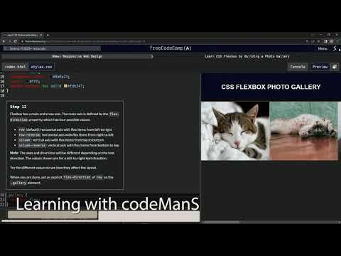 (ARCHIVED) | freeCodeCamp (New) Responsive Web Design - Building a Photo Gallery: Step 12 - YouTube