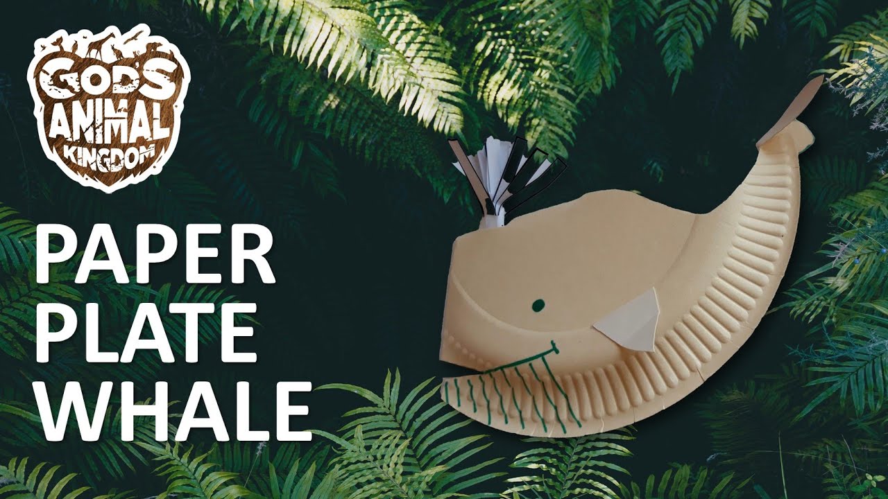 Let's make a PAPER PLATE WHALE - YouTube