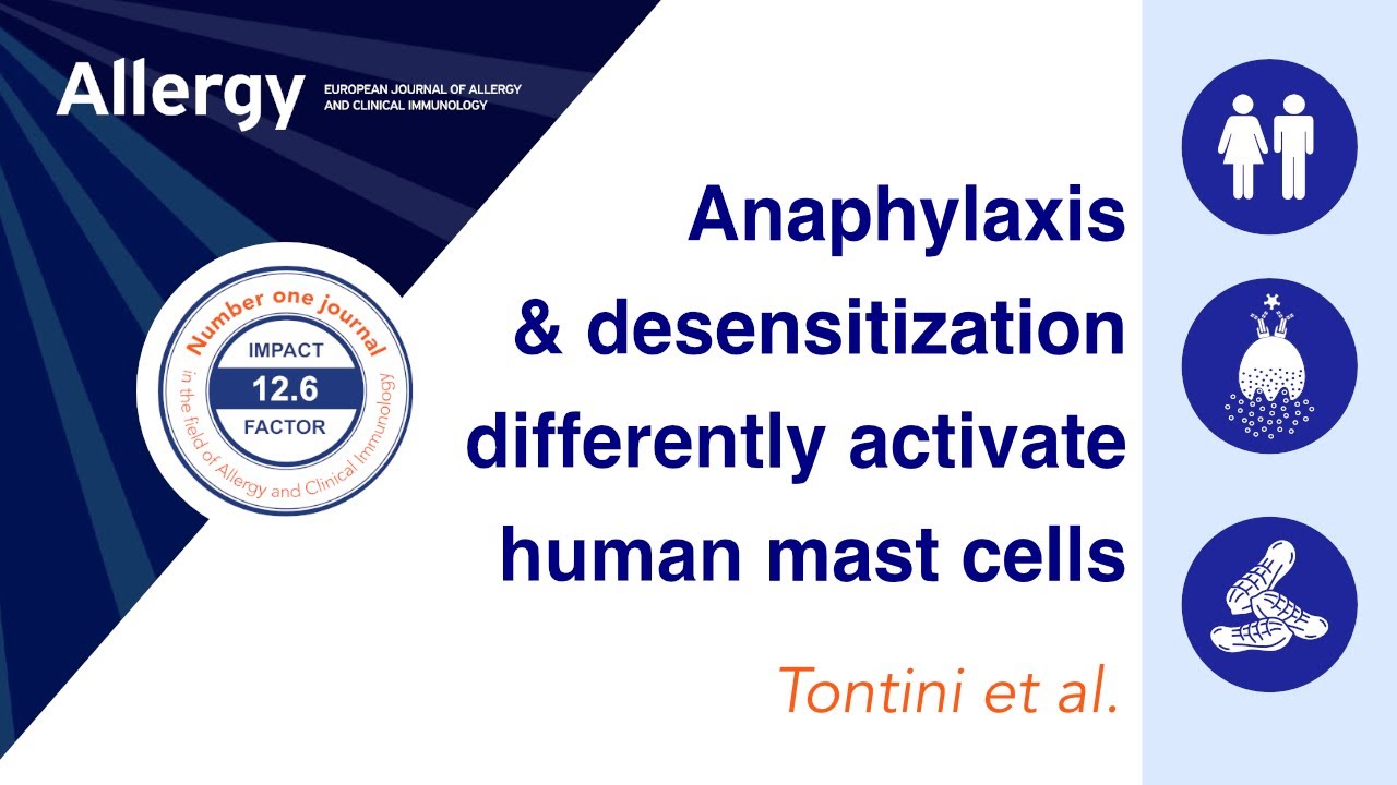 Anaphylaxis and desensitization differently activate and induce IL-8 ...