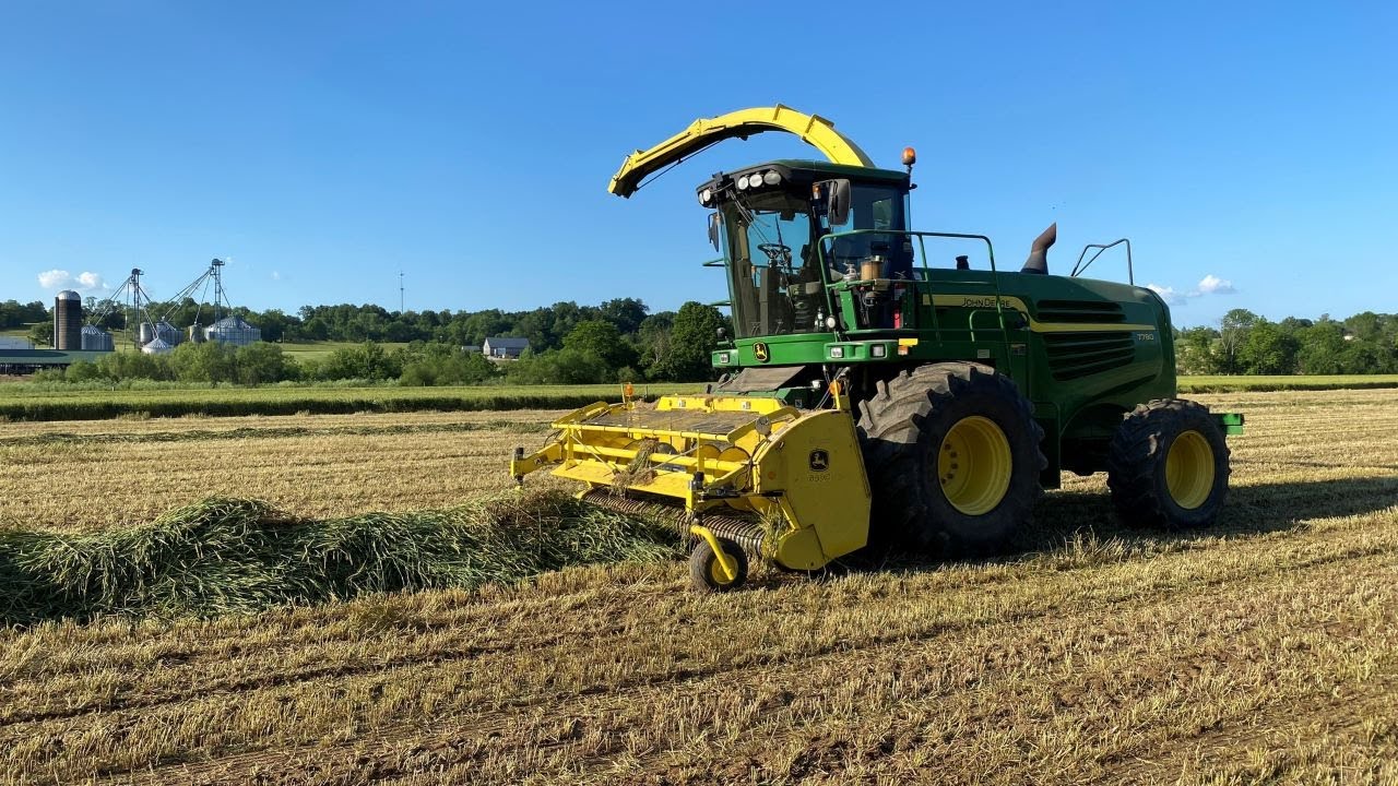 Chopping Silage And Keeping The Corn Planter Moving - YouTube