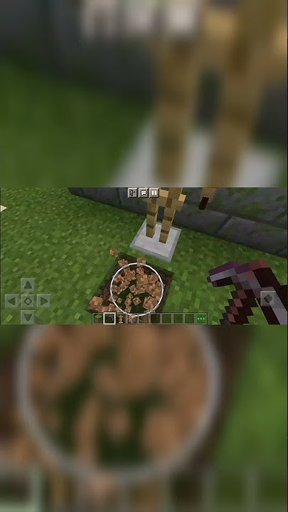 Best Invisibility Command In Minecraft Ever!! |#Shorts - YouTube