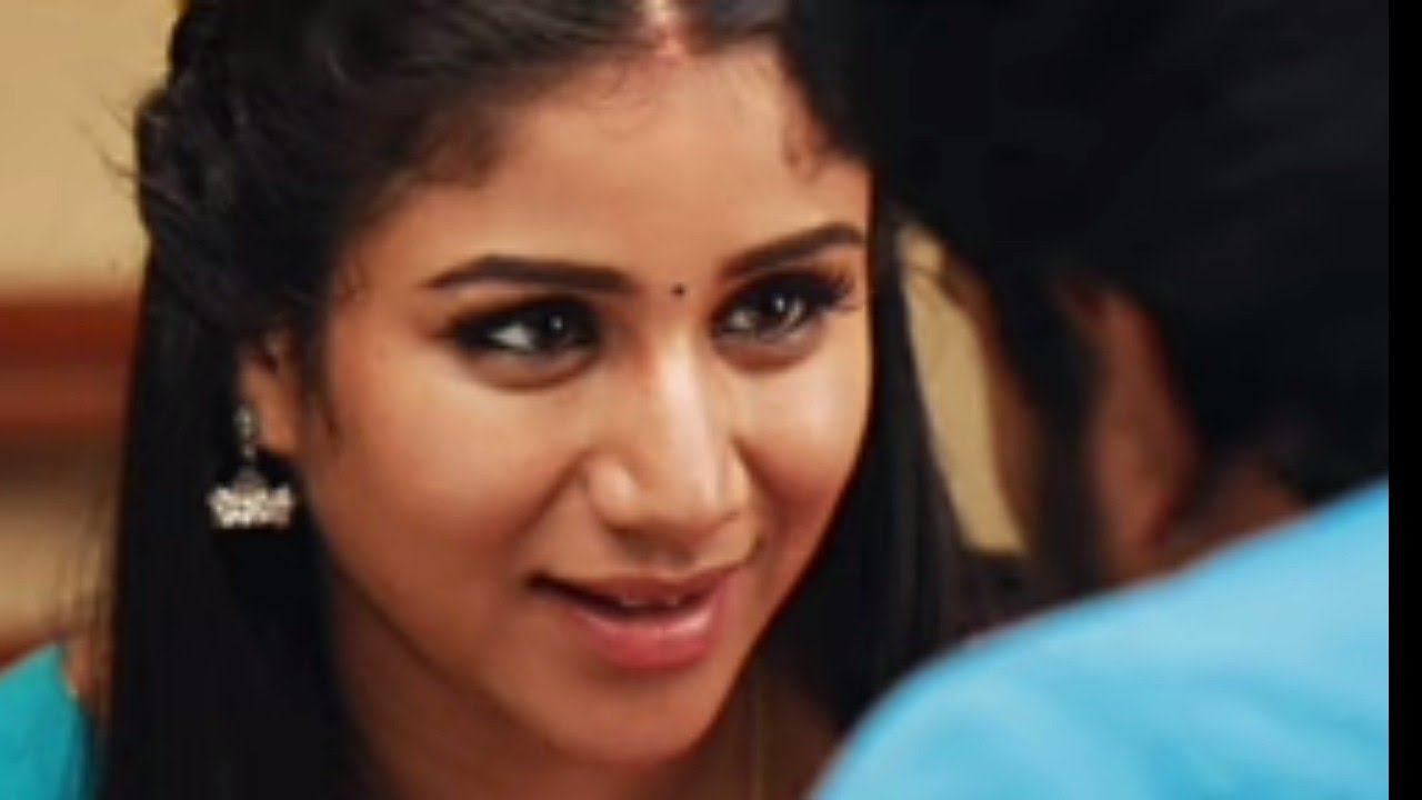 Raja Rani season 2 |16th to 17th November 2021| episode review - YouTube