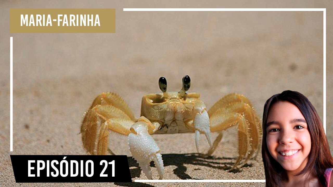 Episódio 21- Maria-farinha - YouTube