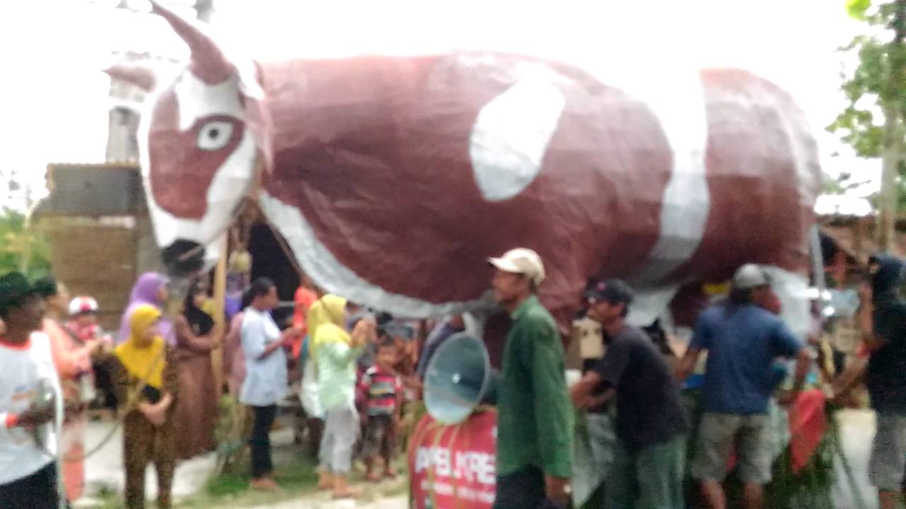 Sapi karnaval, Apel Kref, Desa Pelem Blora - YouTube