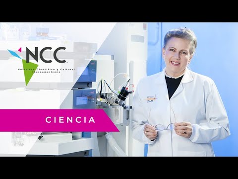 Conoce a Elena Stashenko, una de las científicas más influyentes del ...