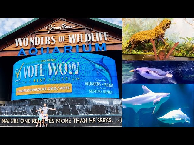 Bass Pro Museum Springfield Mo