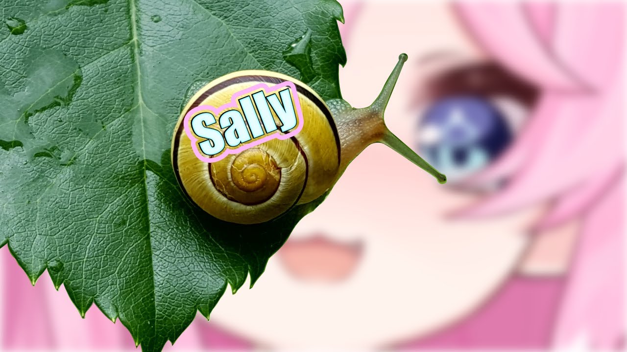 Chibi's Snails - YouTube