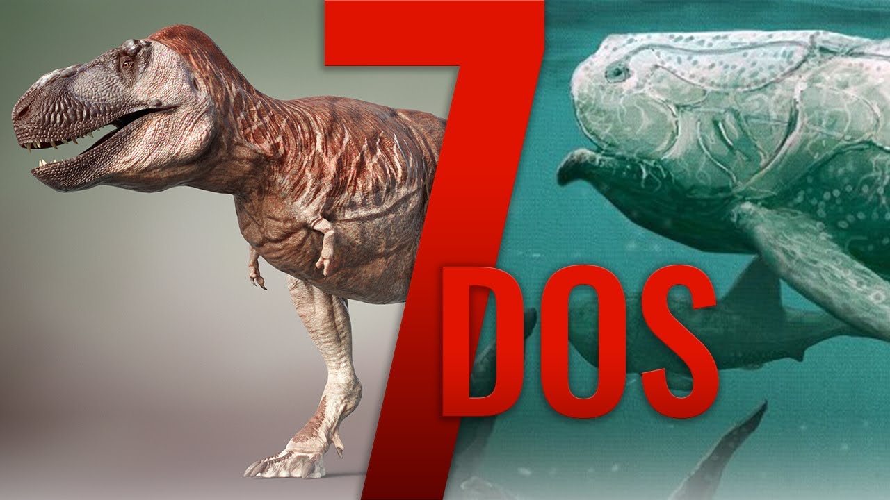 Do We Know the Sex of Dinosaurs? & Giant Filter-Feeding Prehistoric ...