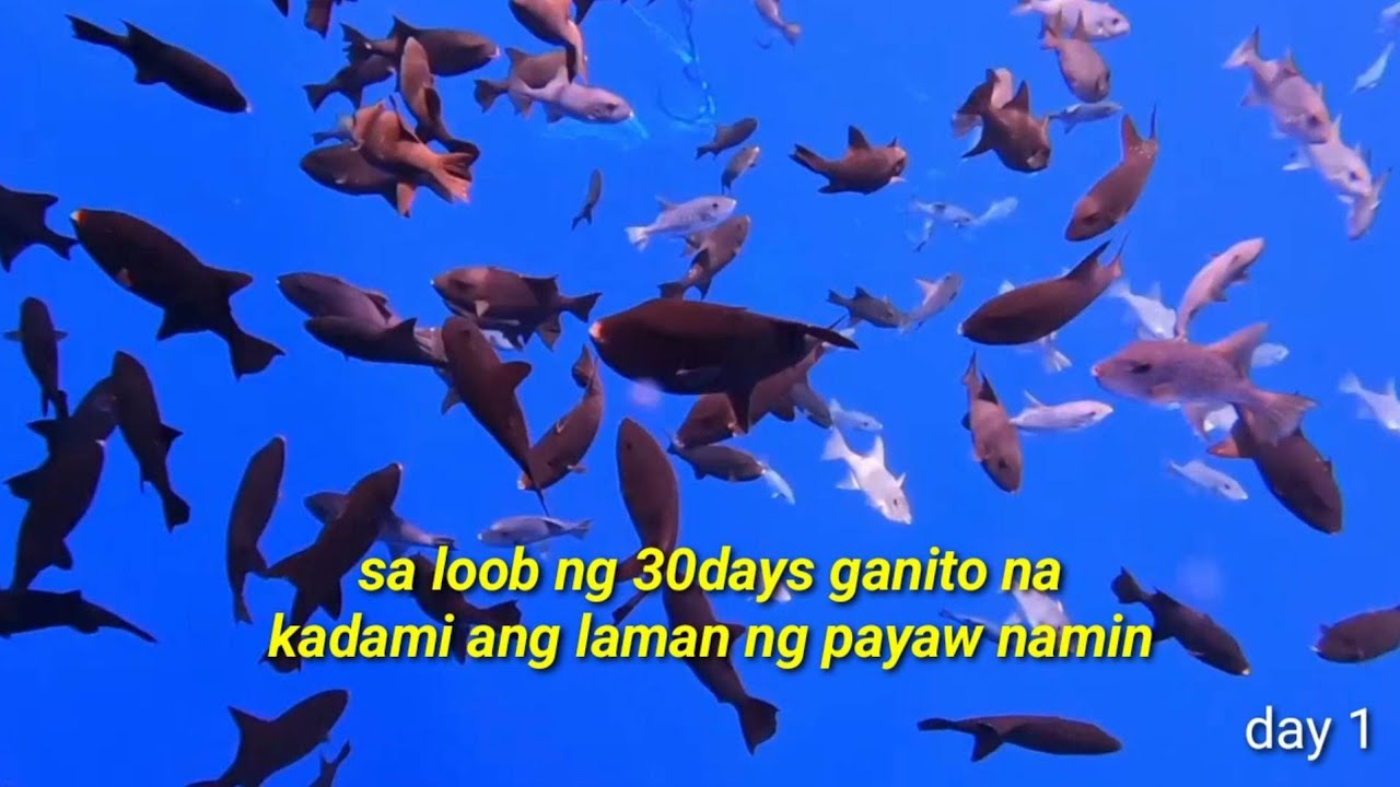 ep1 # 4 laot ng pacific Philippines rise may laman na Ang payaw namin ...