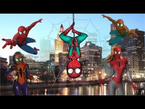 Spider Man Daddy Finger - Finger Family Songs - Finger Family Collection
