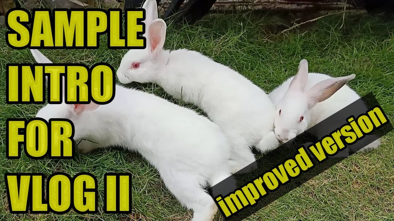 INTRO II ||Sample Intro|| - YouTube