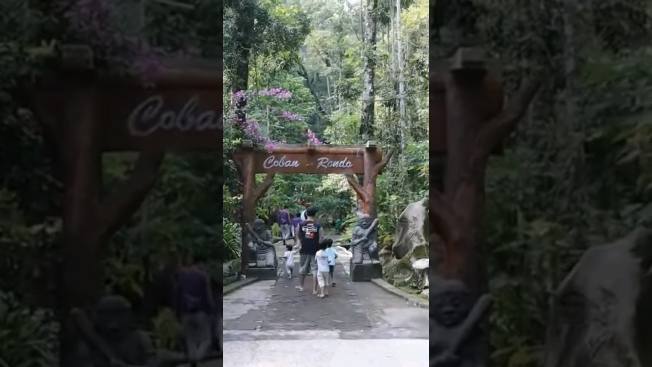 Wisata Cuban Rondo destinasi wisata air terjun #vlogmyfamily#review # ...