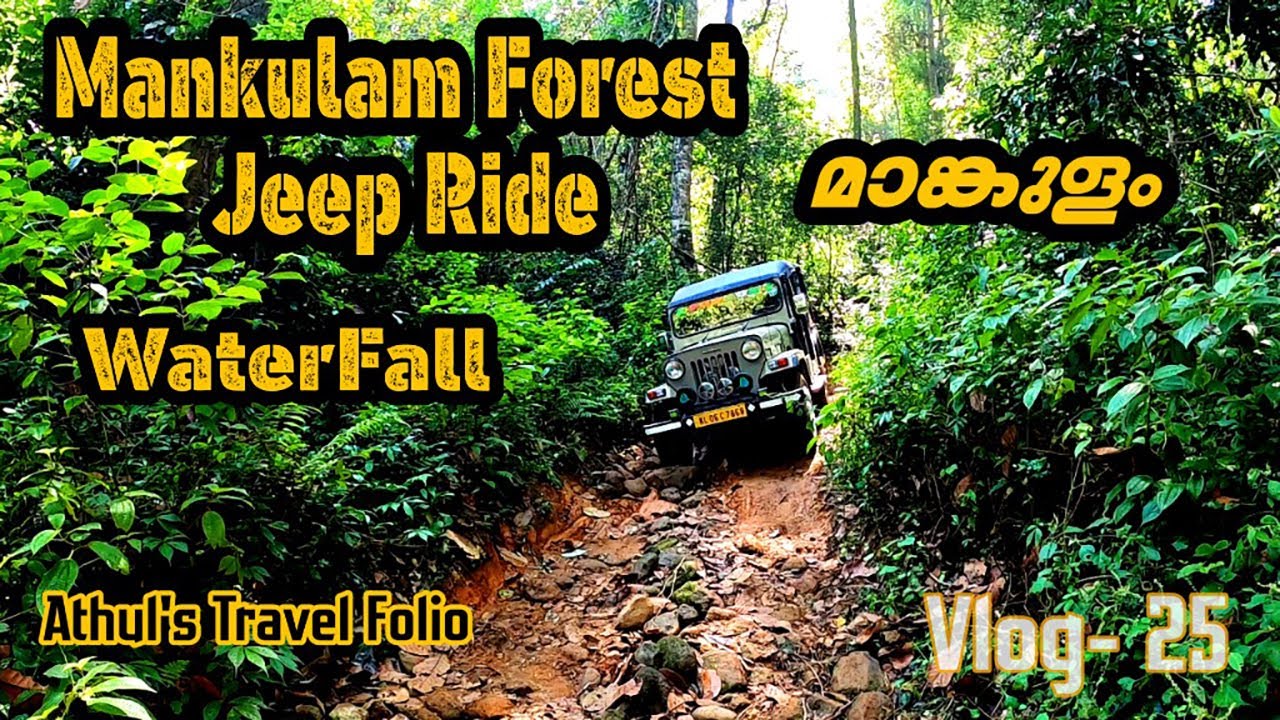 MANKULAM JEEP SAFARI | STAY | CAMPFIRE | IDUKKI VLOG | TRAVEL FOLIO ...