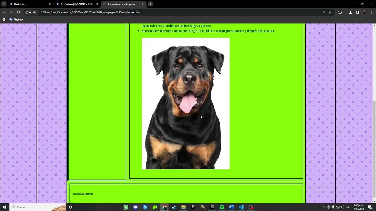 Fundamentos En La Implementación De Componentes Front End Html Css Js Ga6 220501096 Aa4 Ev01